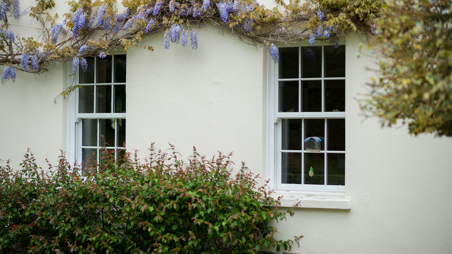 Sliding Sash Windows Kent | Replacement Sash Windows from Eden Windows